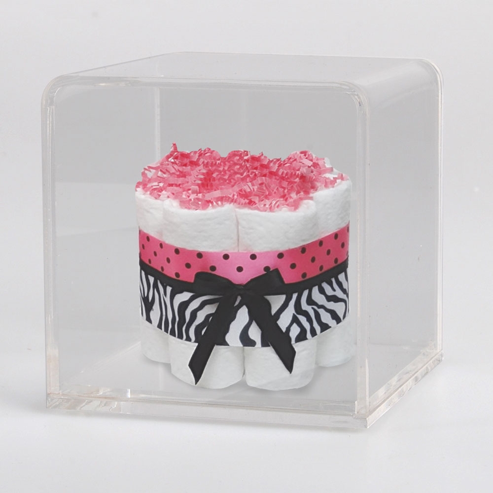 The Perspex Display Case is Perfect for Displaying your Collectibles!