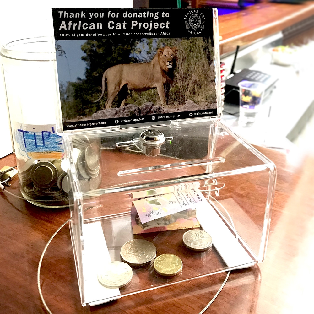 This Collection Box uses an A6 Header for Promotions!