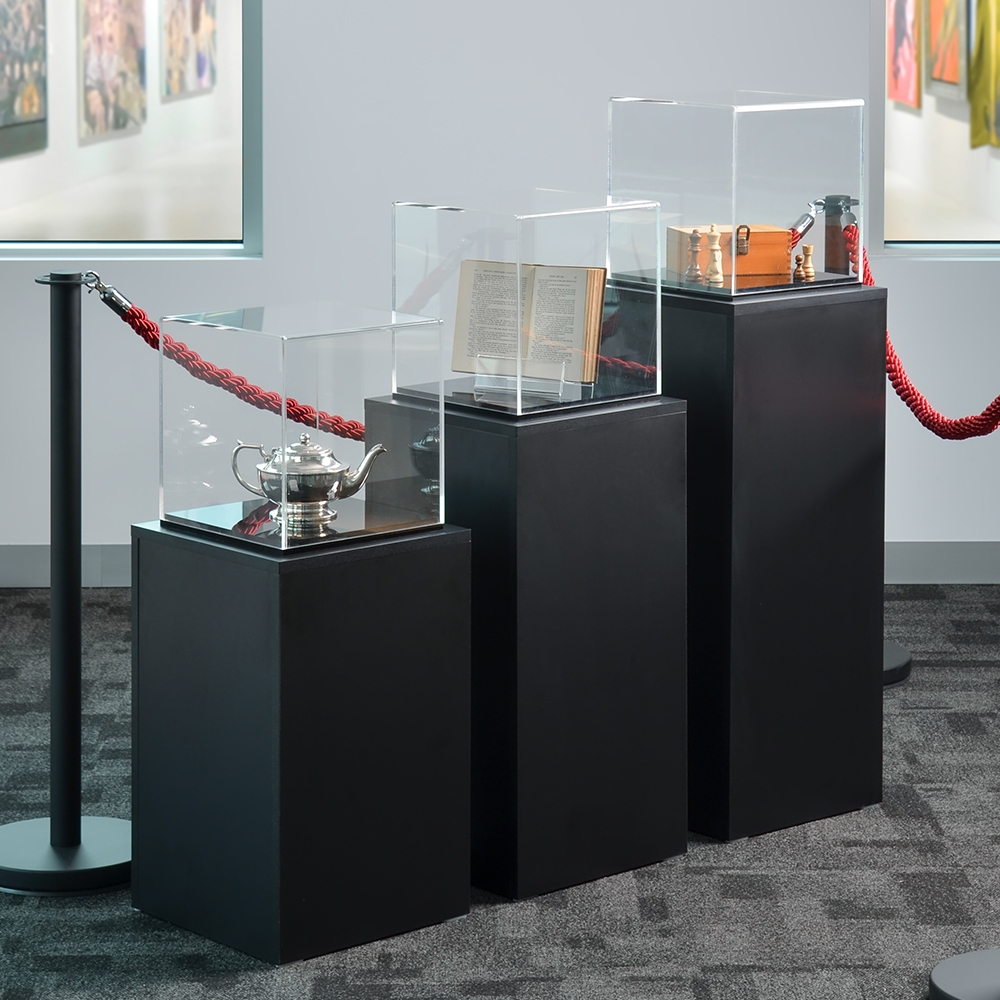 Museum Acrylic Display Cases - Cube & Black Plinth - Ships Same Day