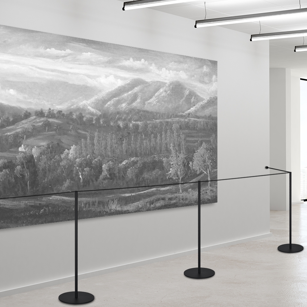 Low Profile Barrier - 4 Slim Posts & 15m Elastic Cord