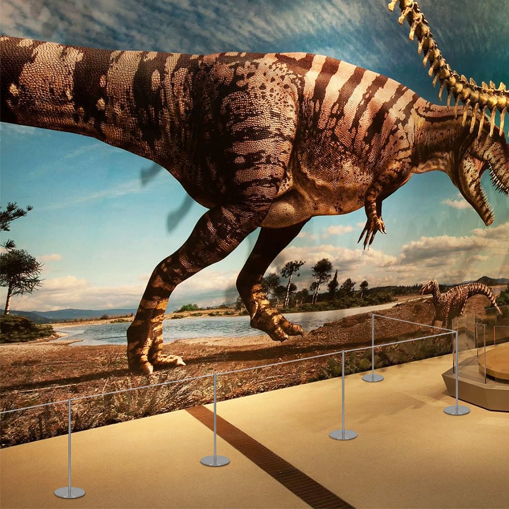 Museum Rope Barriers - 6 Slim Posts & 15m Elastic Cor